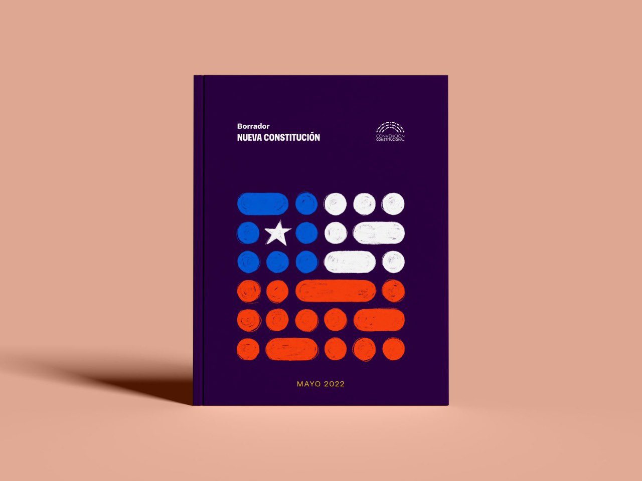 In Chile, constitutional convention announces full draft of new ...