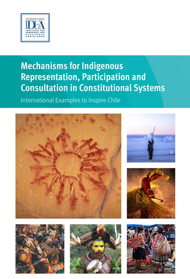Mechanisms for Indigenous Representation, Participation and ...